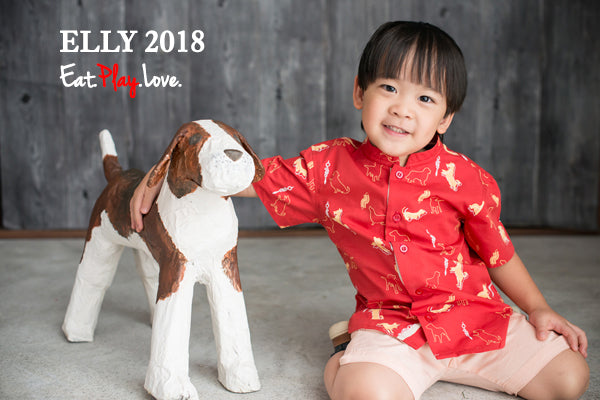 Elly CNY 2018 – Frequently Asked Questions and Answers – The Elly Store