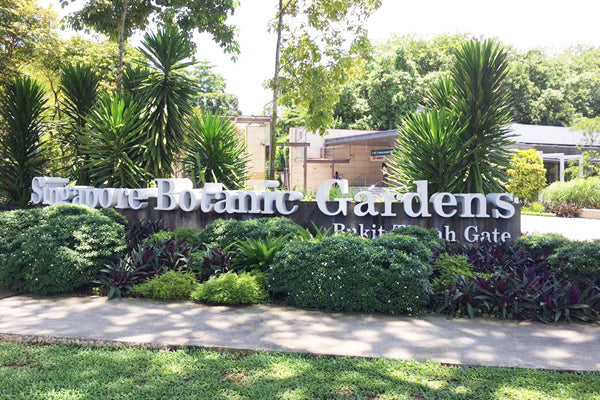 Activities to do in Bukit Timah this F1 weekend – The Elly Store